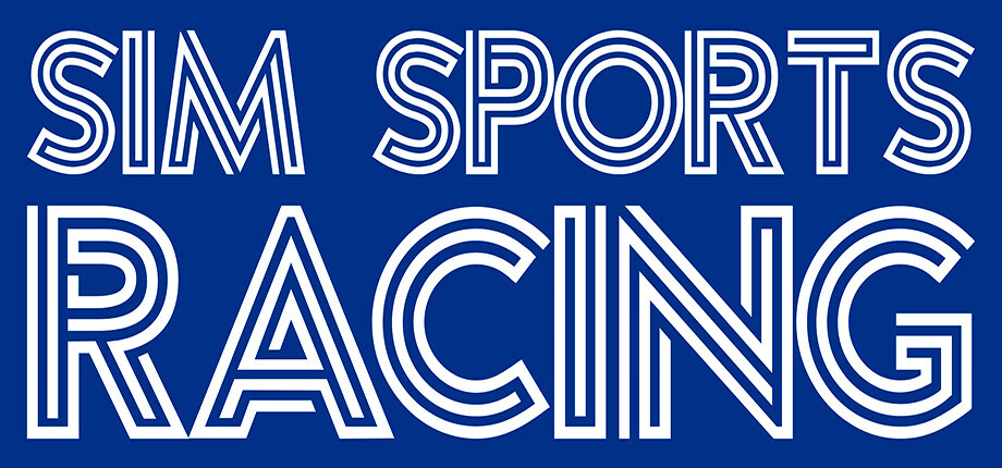 SIM SPORTS RACING Playtest Configuration (App 4742210) · SteamDB