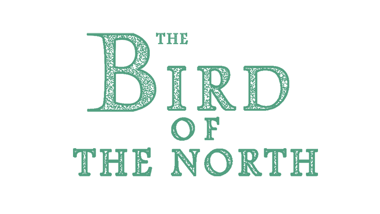 The bird of the North Demo Configuration · SteamDB