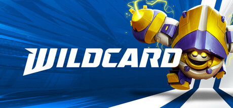 Wildcard on Steam