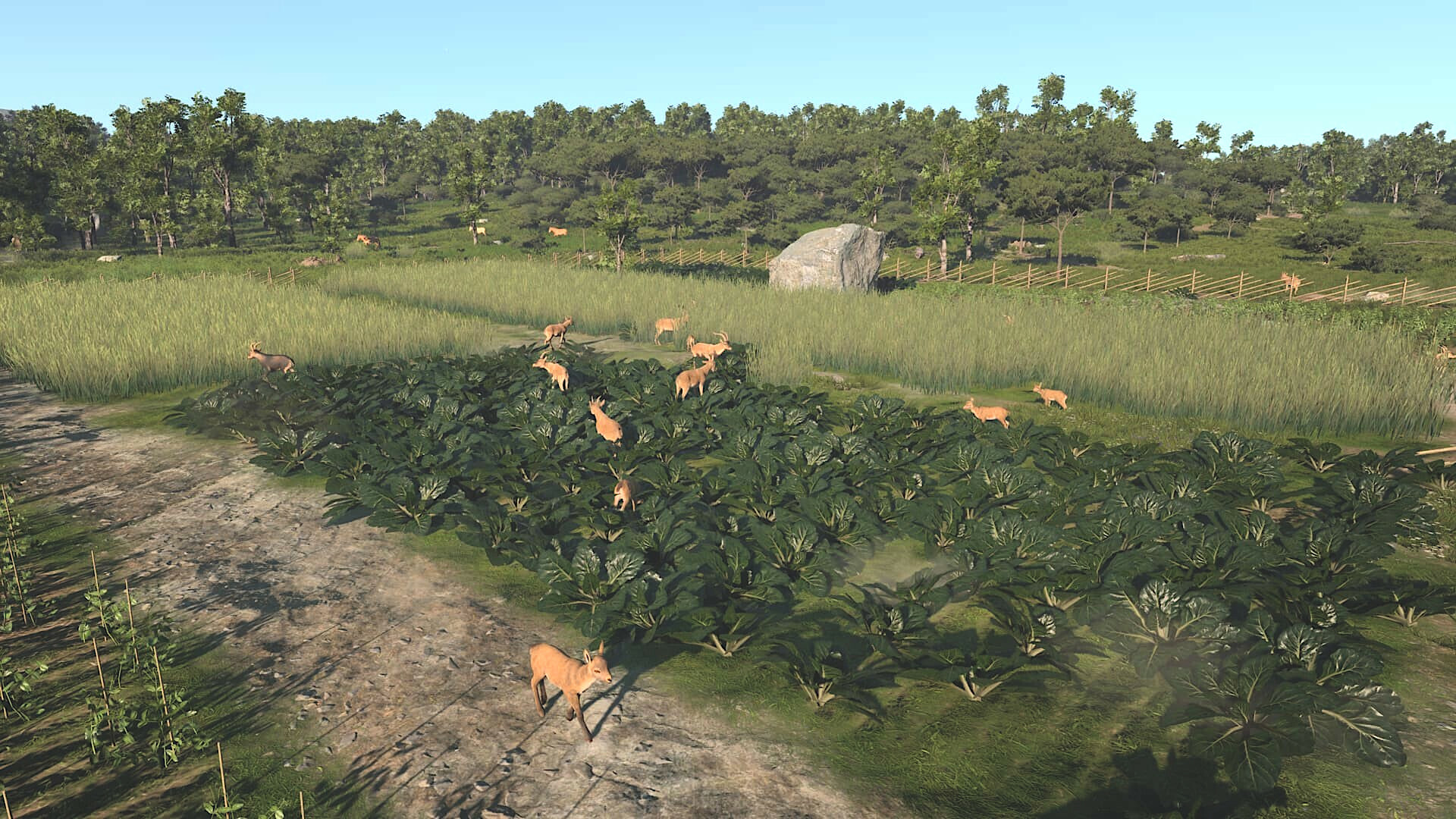 Ancient Cities on Steam